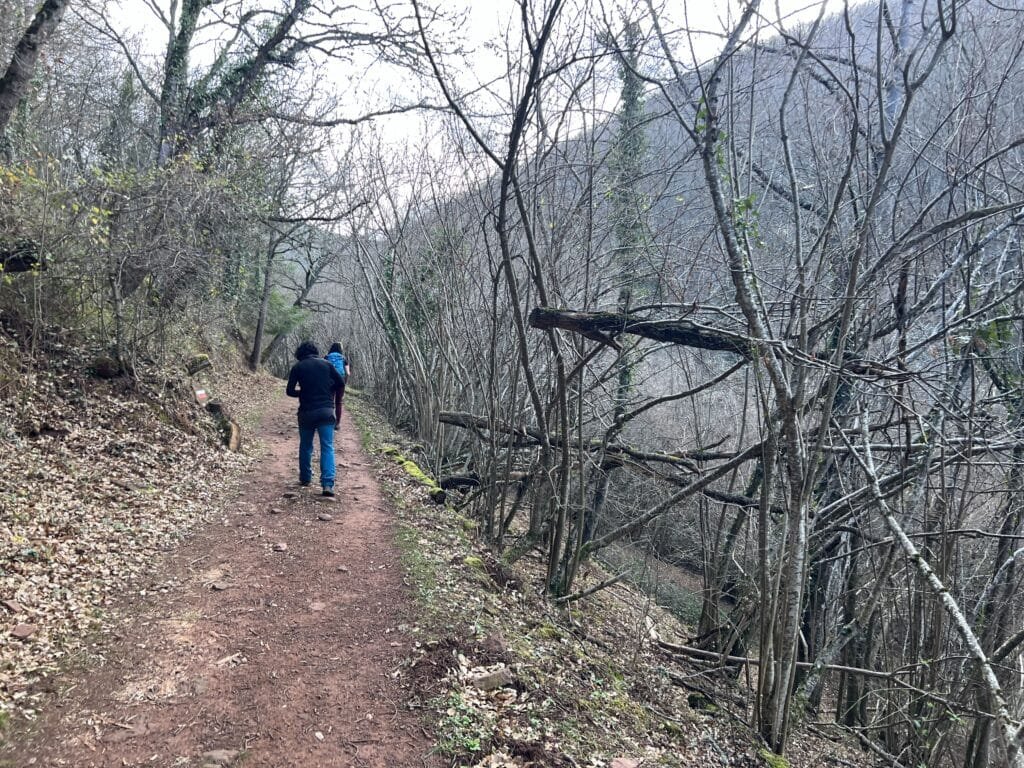 La Ruta de Turza - Circular en los Bosques de Ezcaray