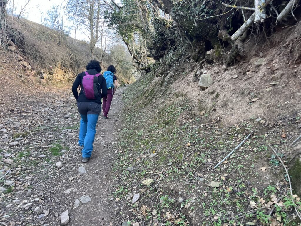La Ruta de Turza - Circular en los Bosques de Ezcaray