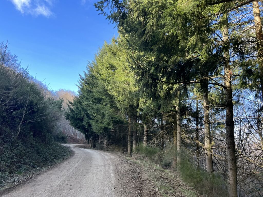 La Ruta de Turza - Circular en los Bosques de Ezcaray